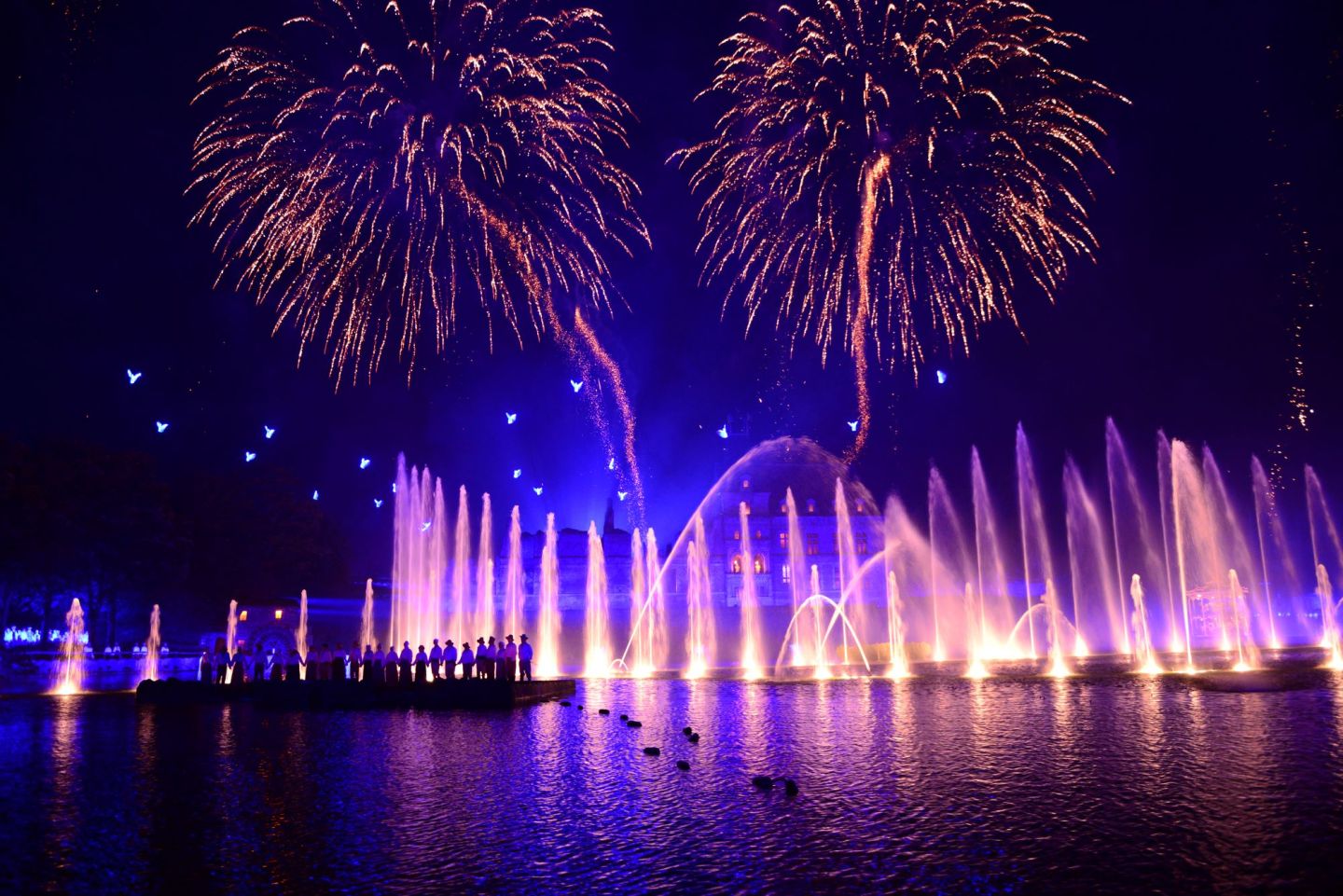 Our references - Aquatique Show